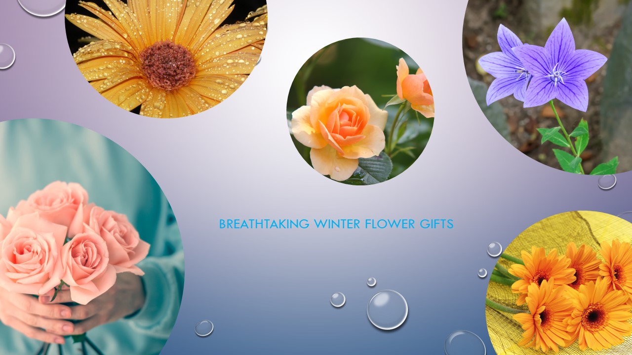 This Winter, Blossom Your Life with Breathtaking Winter Flower Gifts ...